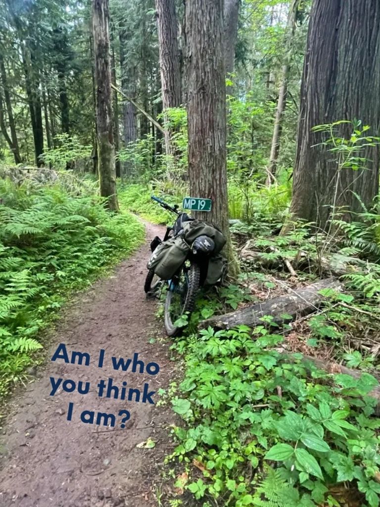 James Shell Contact Page