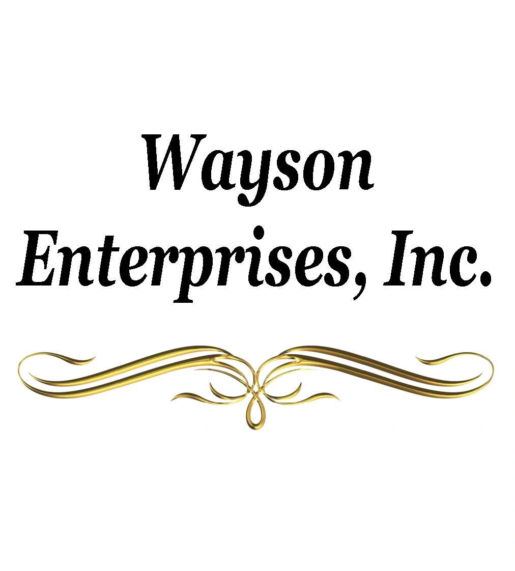 Wayson Enterprises, Inc.