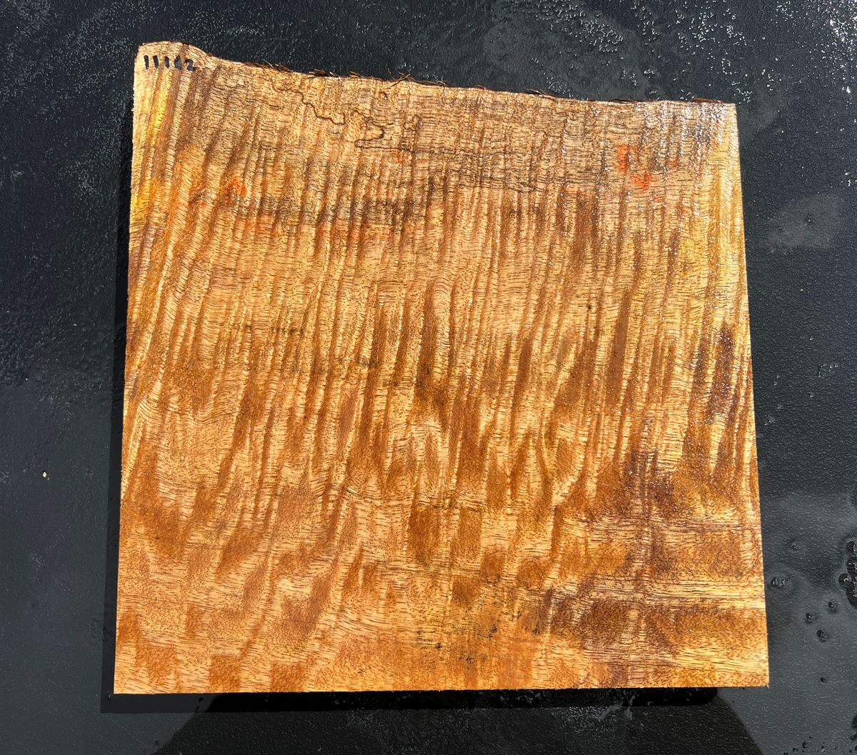 Hawaiian Curly Mango Board