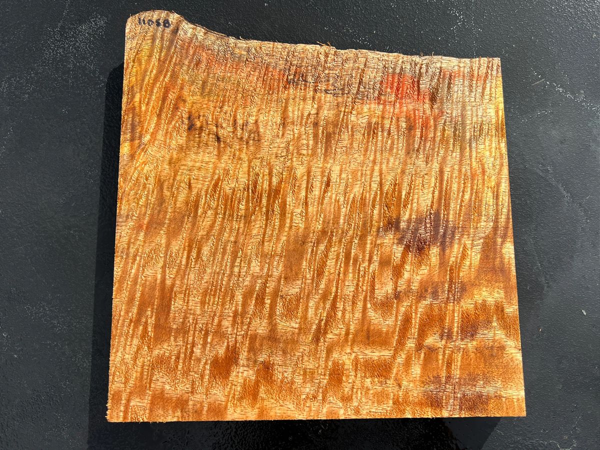 Hawaiian Curly Mango Board
