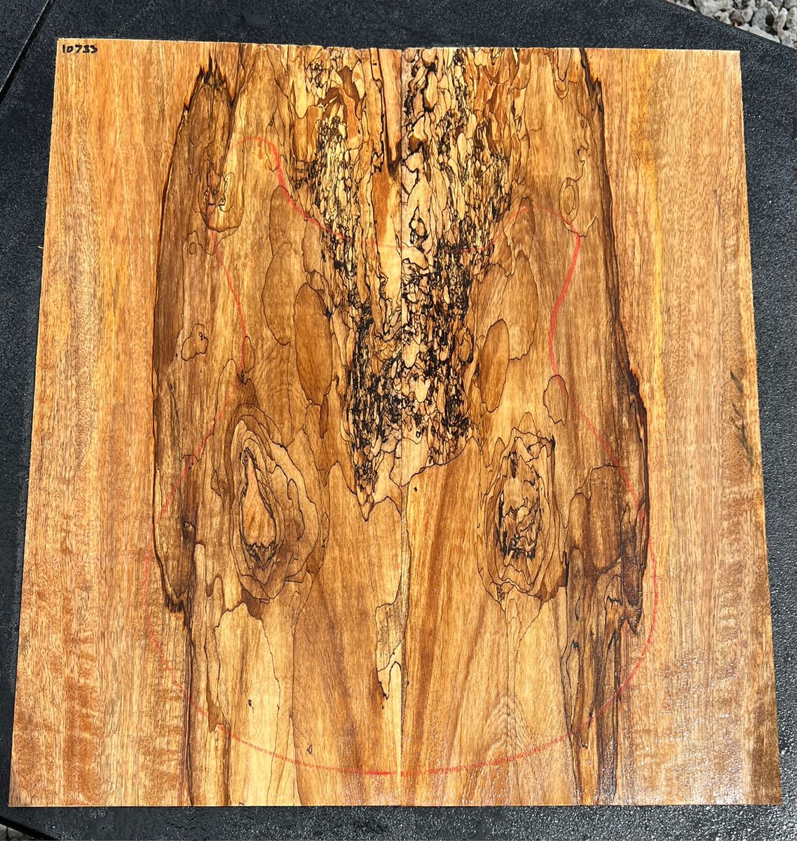 Hawaiian Spalted Mango Electric Guitar Top/Guitar Set
