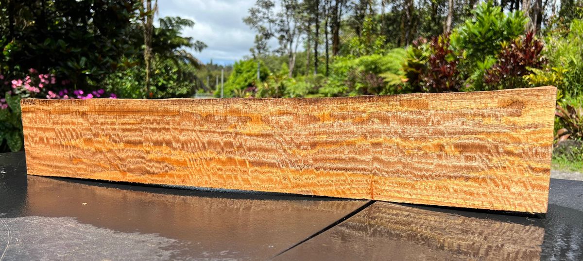 Hawaiian Curly Mango Board