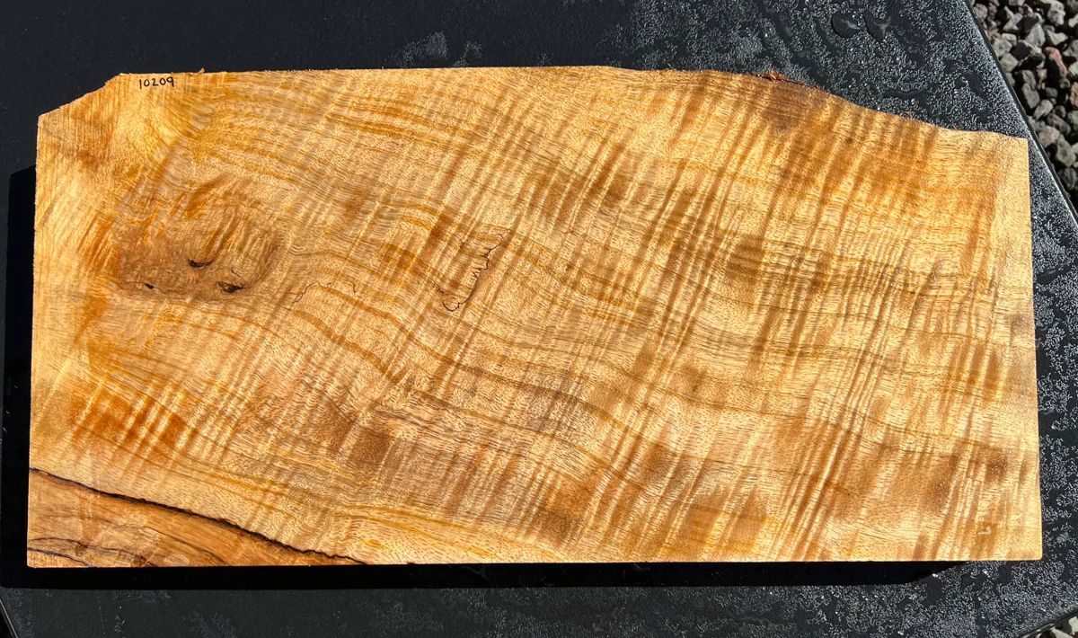 Hawaiian Curly Mango Board