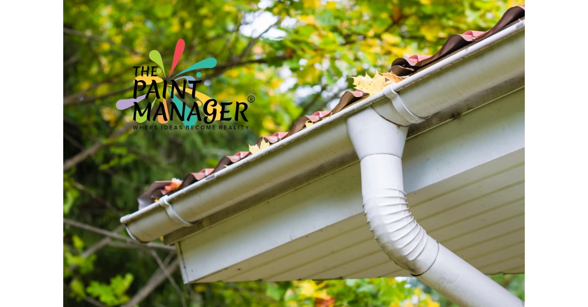 The Paint Manager's Gutter Clean-out Services