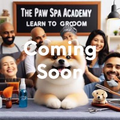 The Paw Spa - Your Pet Spa Destination