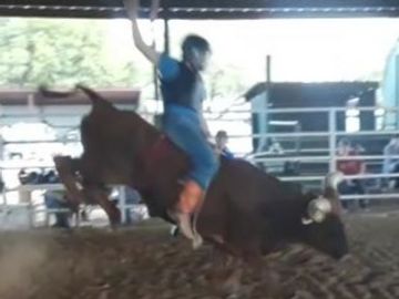 Meet The Boys | Bad Dog Rodeo