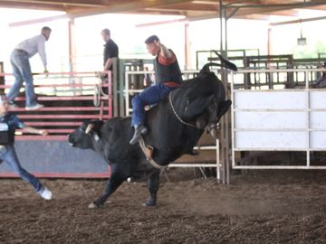 Meet The Boys | Bad Dog Rodeo