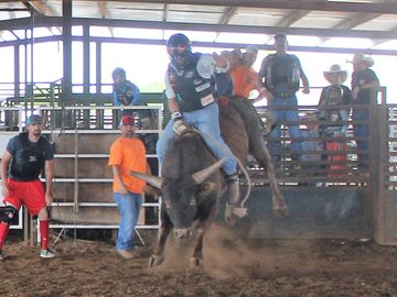 Meet The Boys | Bad Dog Rodeo