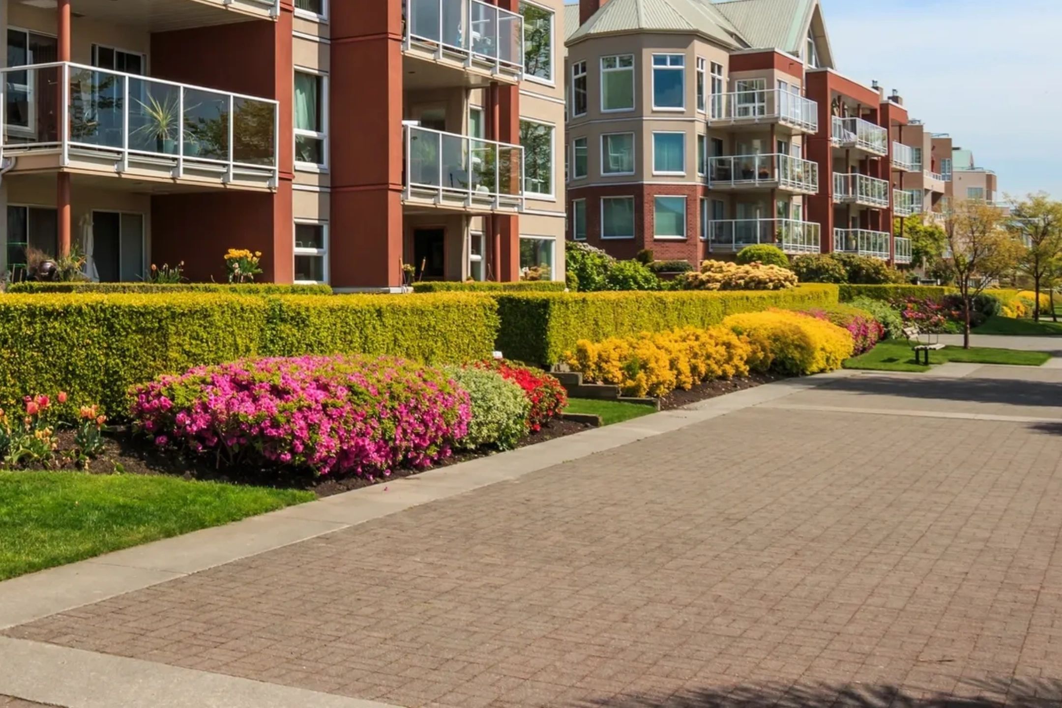 Allay Landscaping - Consider your landscape needs solved!