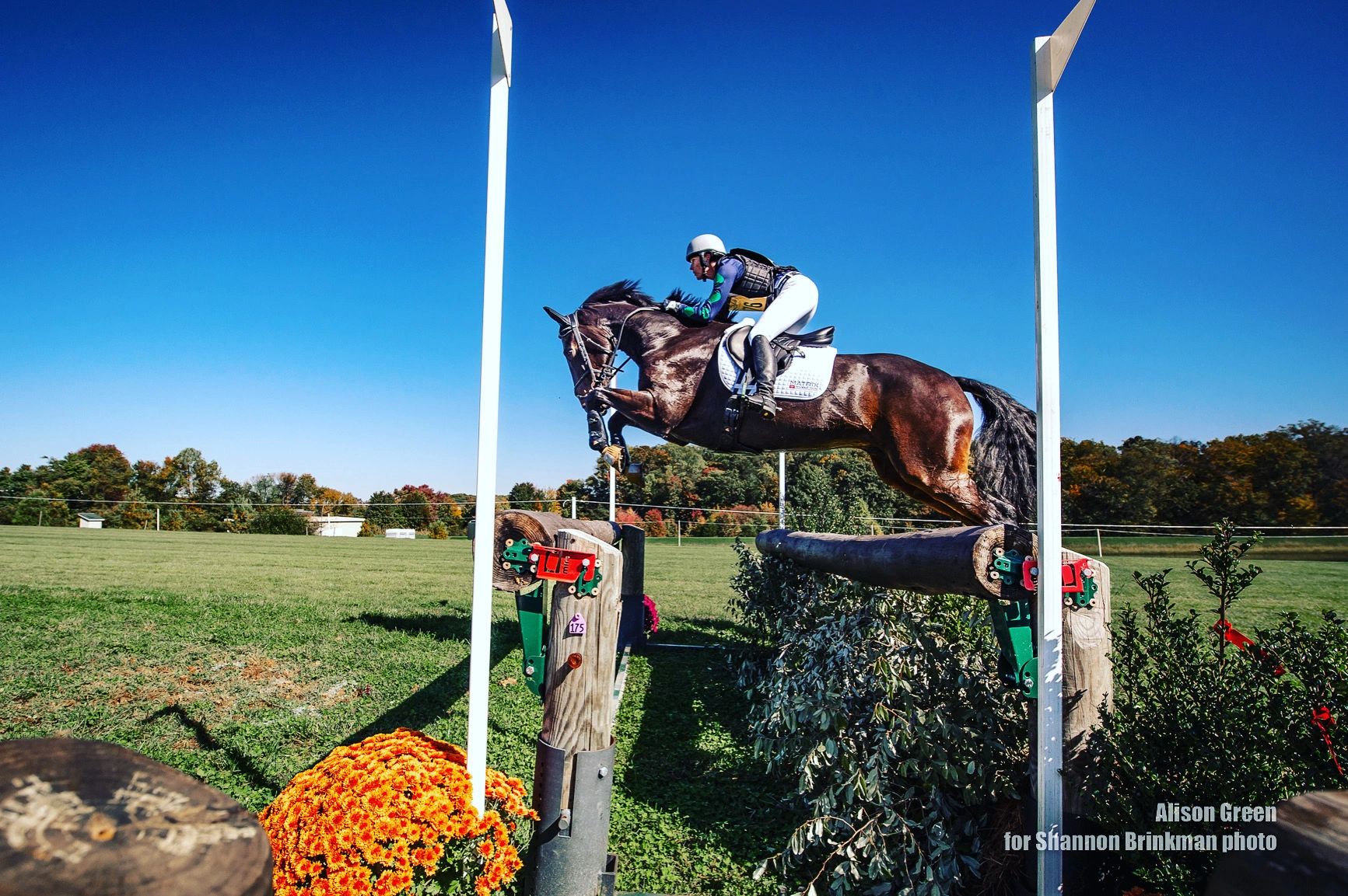 Kim Wendel Eventing - Eventing, Equestrian, Horse