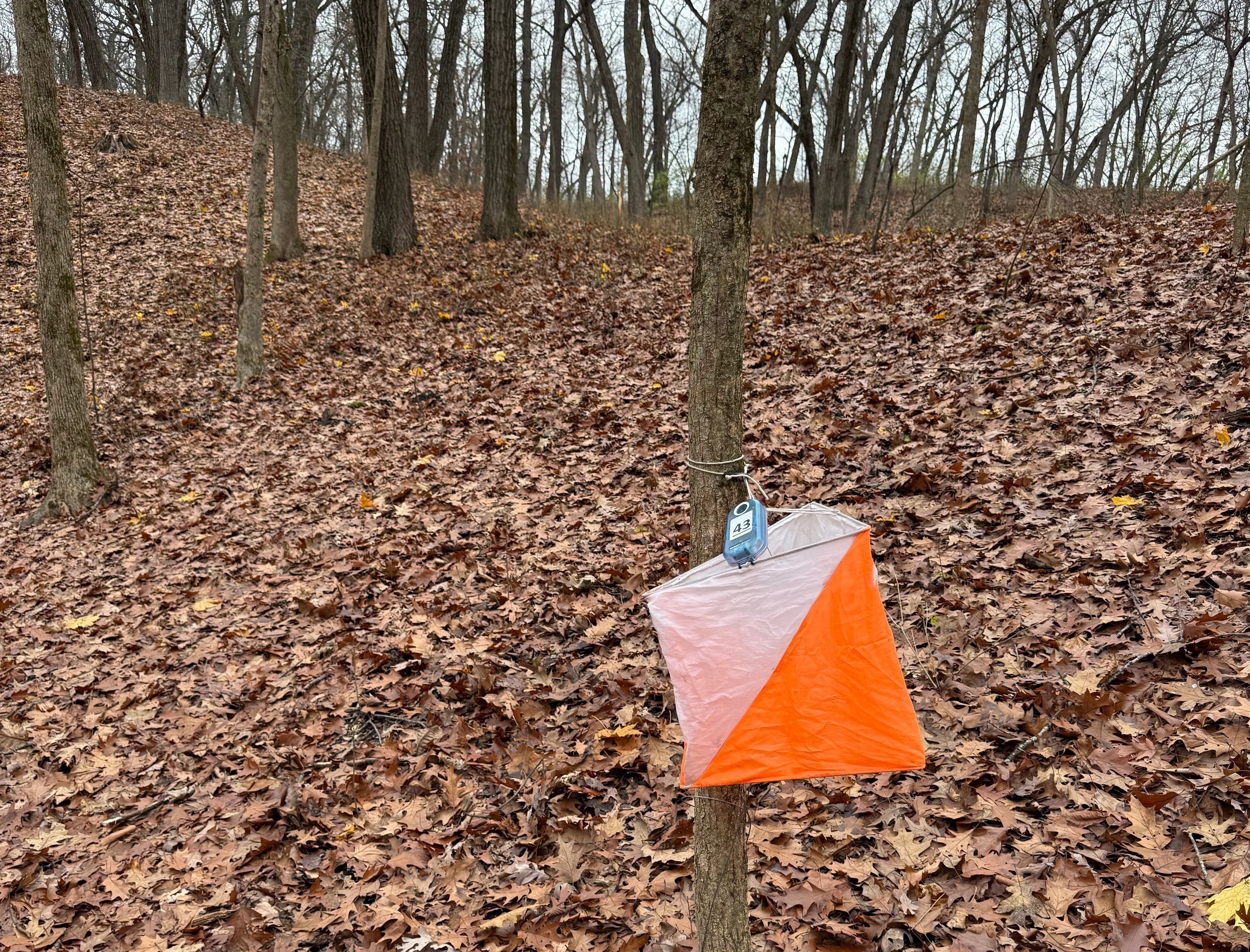 Event Info & Calendar