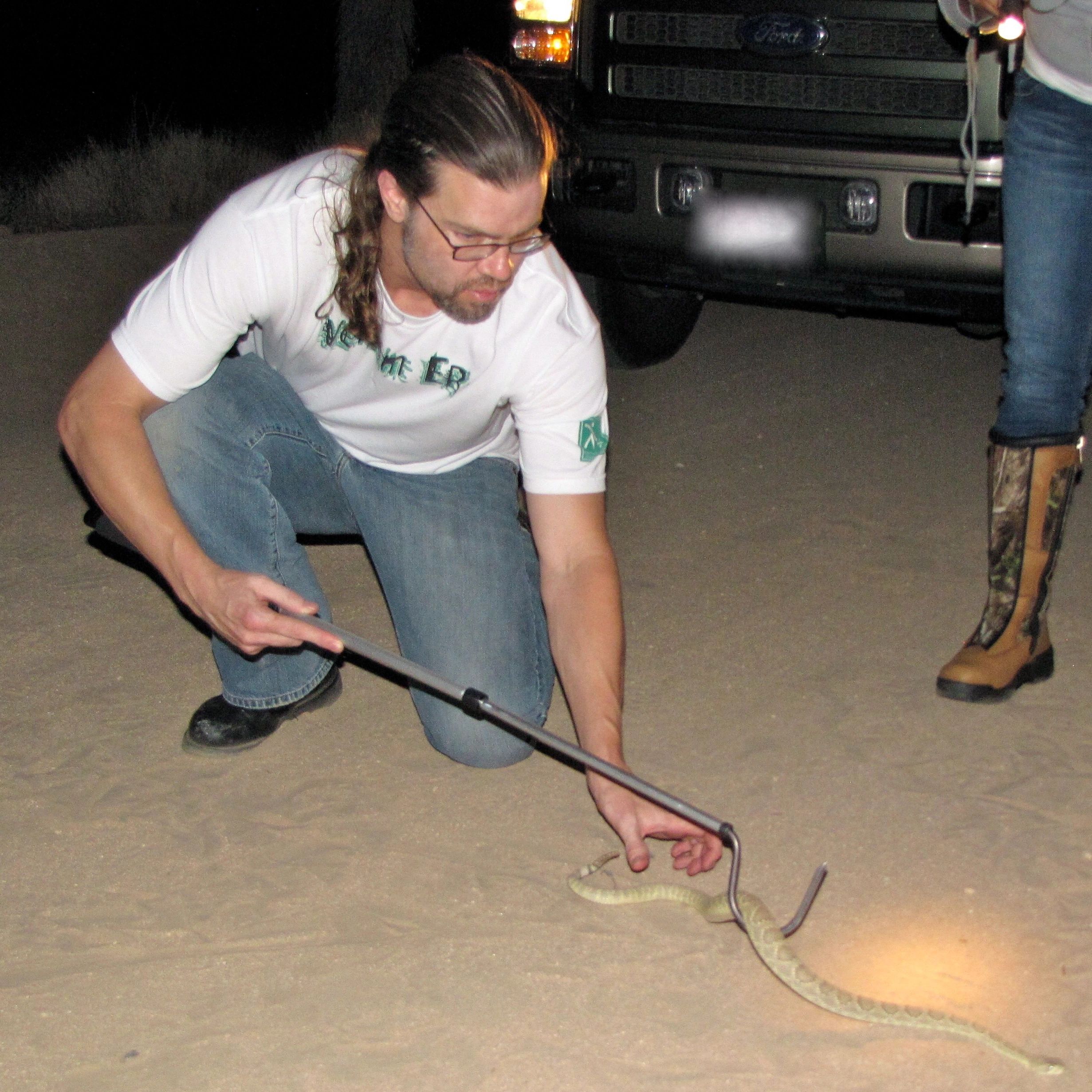 Handling venomous snakes