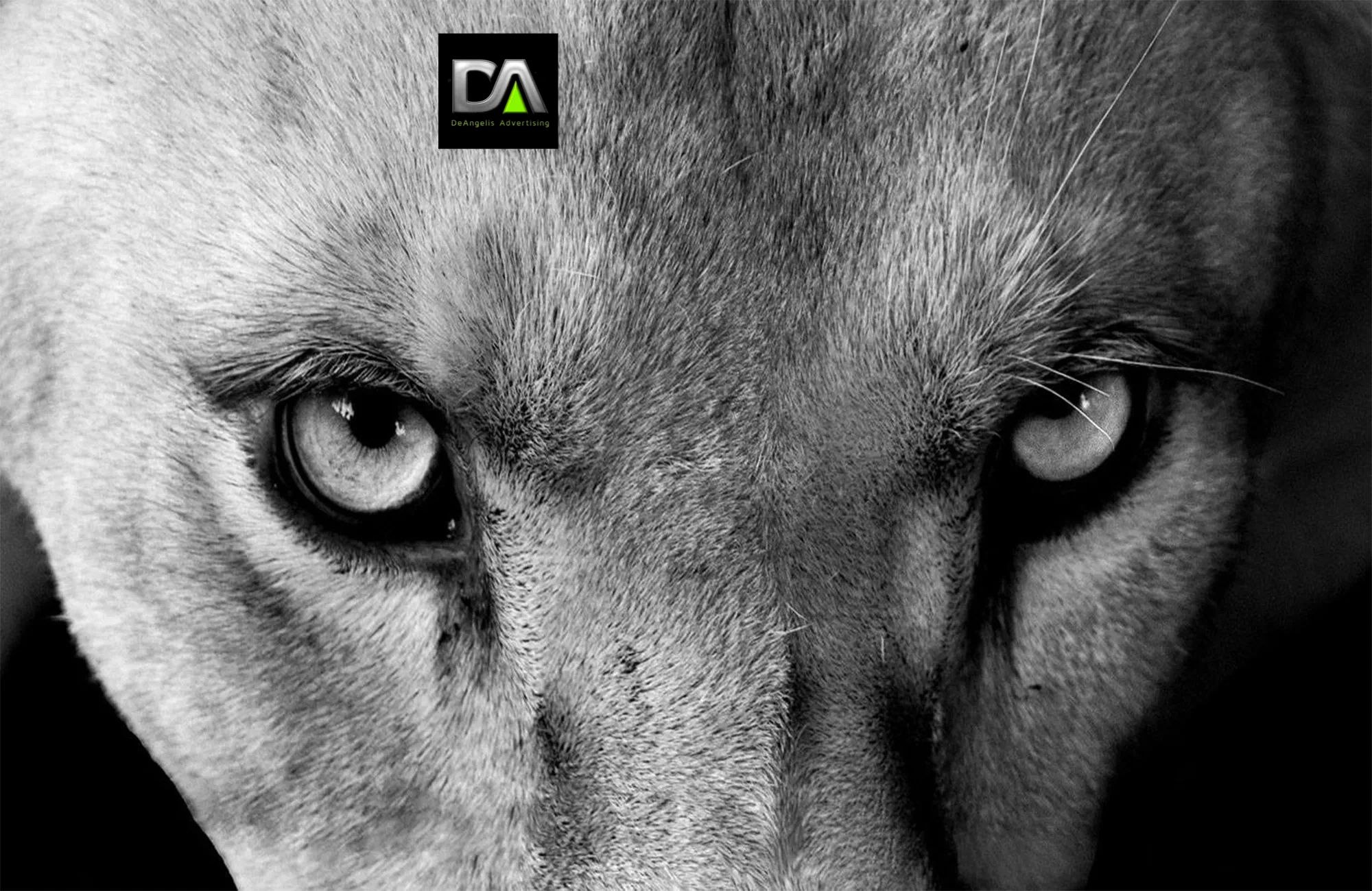 Automotive Dealer Advertising Agency | Top 10 USA