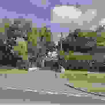 Welcome | Teviotdale