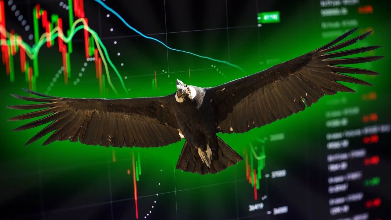 Iron Condor Trade Masters