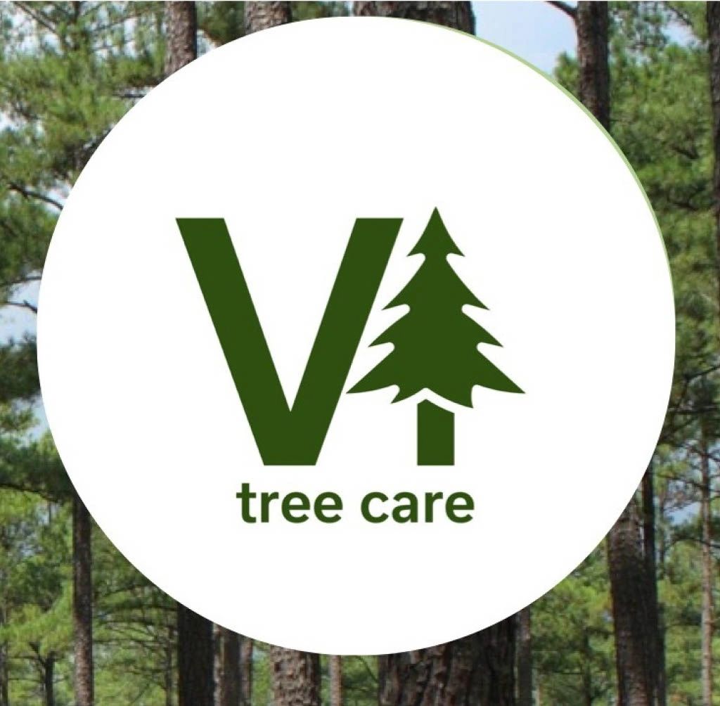 Expert Tree Services from Certified Tree Specialists