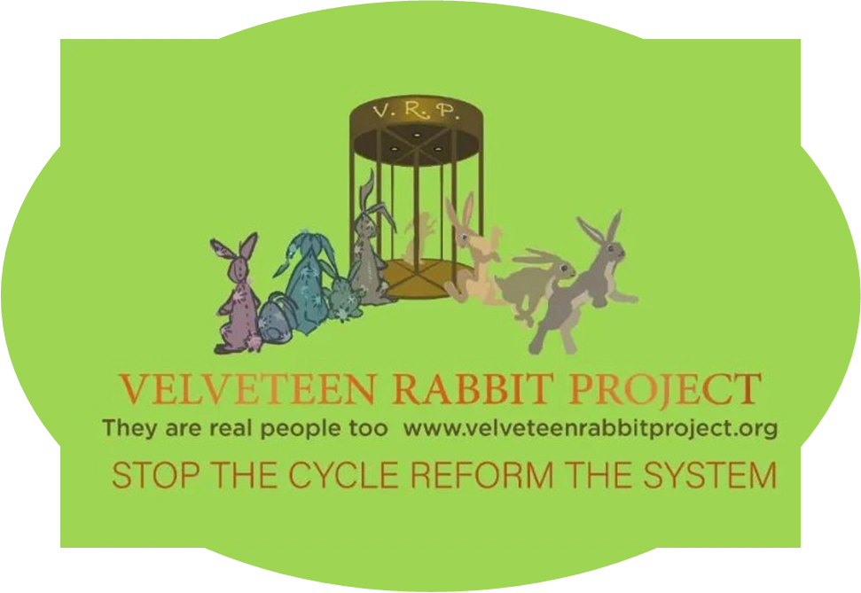 Gallery | Velveteen Rabbit Project