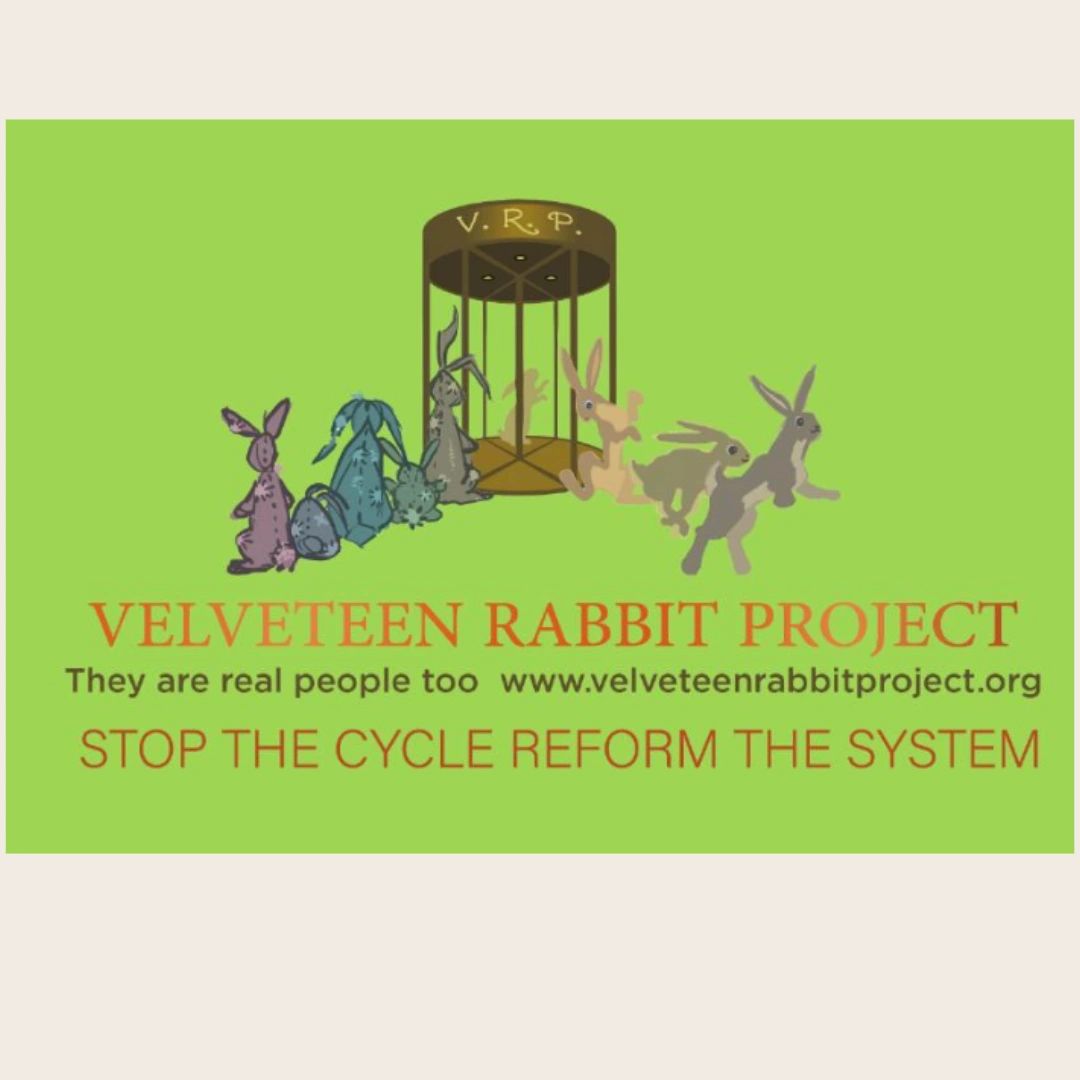 Velveteen Rabbit Project