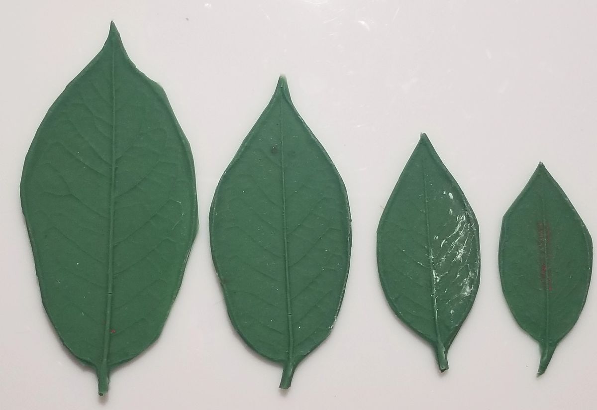 LP159 Apple Rubber Leaf Forms (Set of 4)
