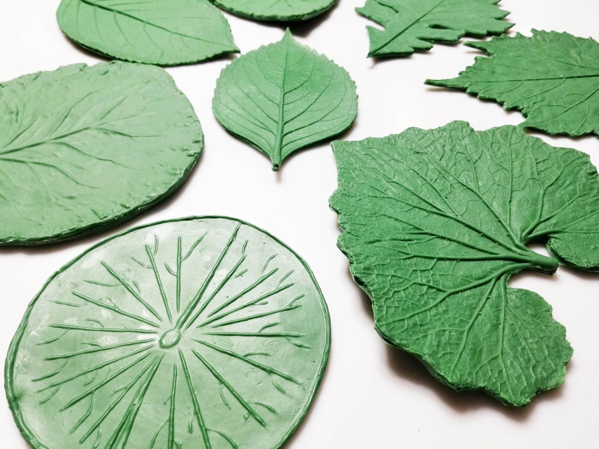 Rubber Leaf Forms (Make clay leaves or impressions in clay)