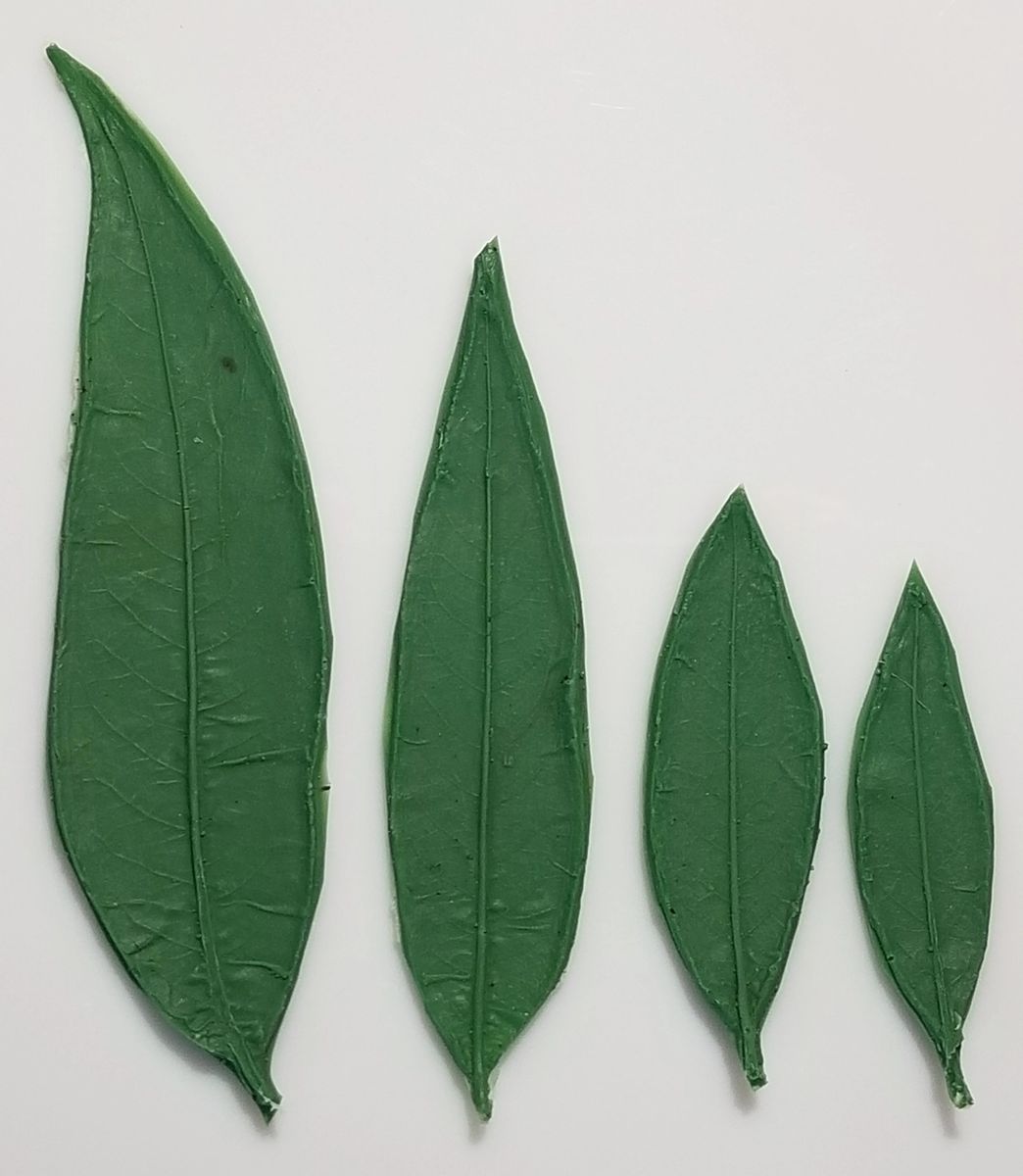 LP172 Peach Rubber Leaf Forms (Set of 4)