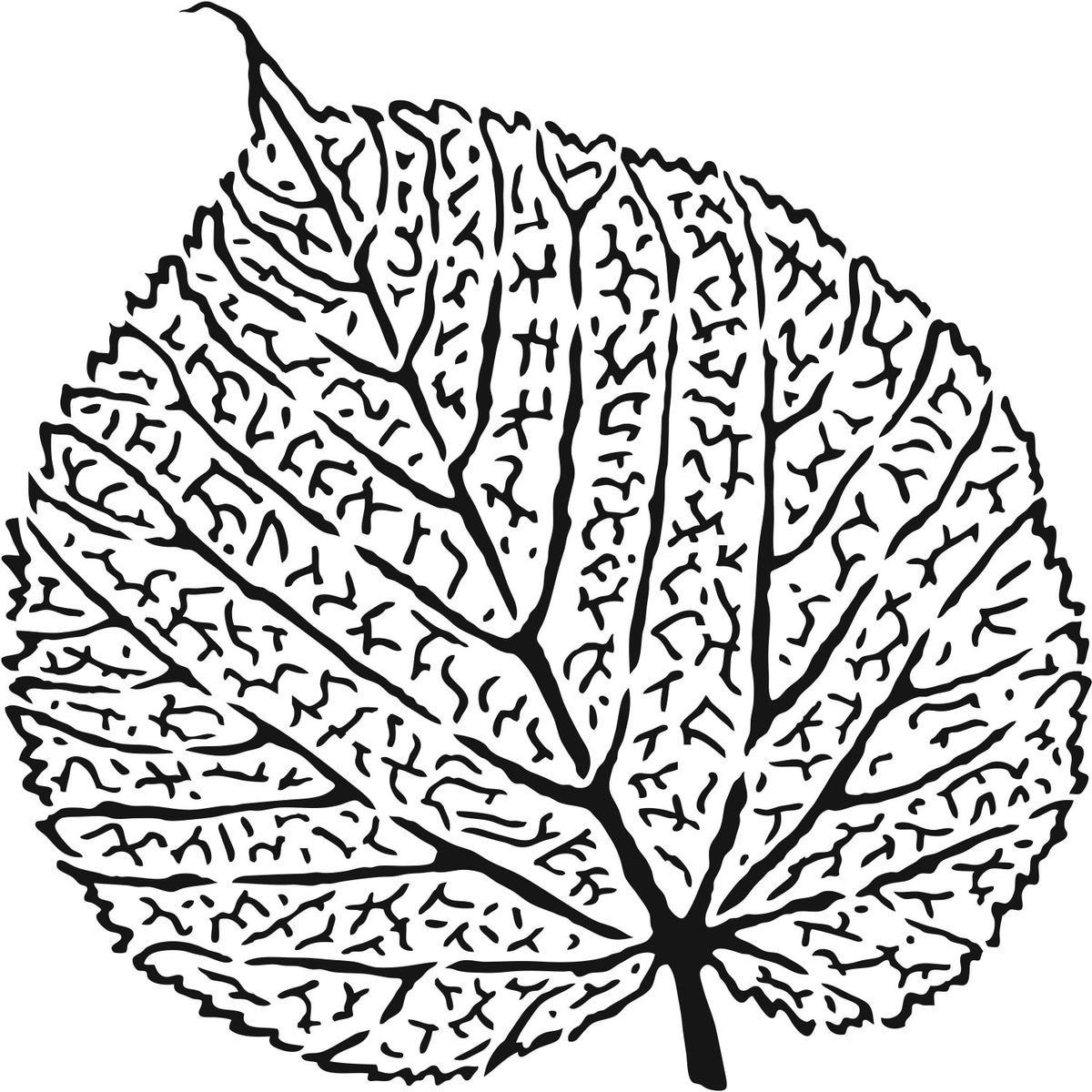 ST953 12" x 12" Large Skeletal Leaf Stencil