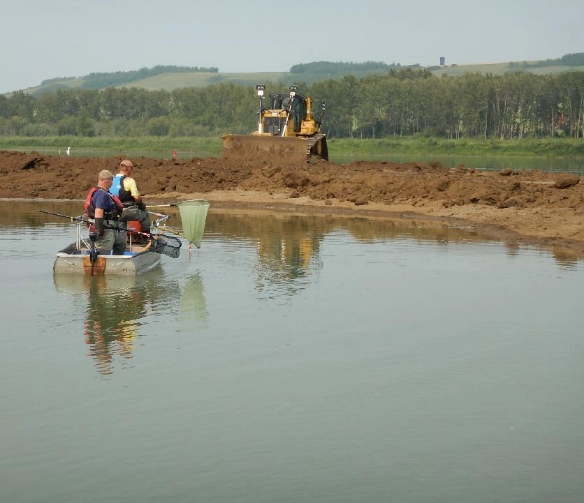 Fish Salvage fisheries Outside Environmental Consulting Ltd.