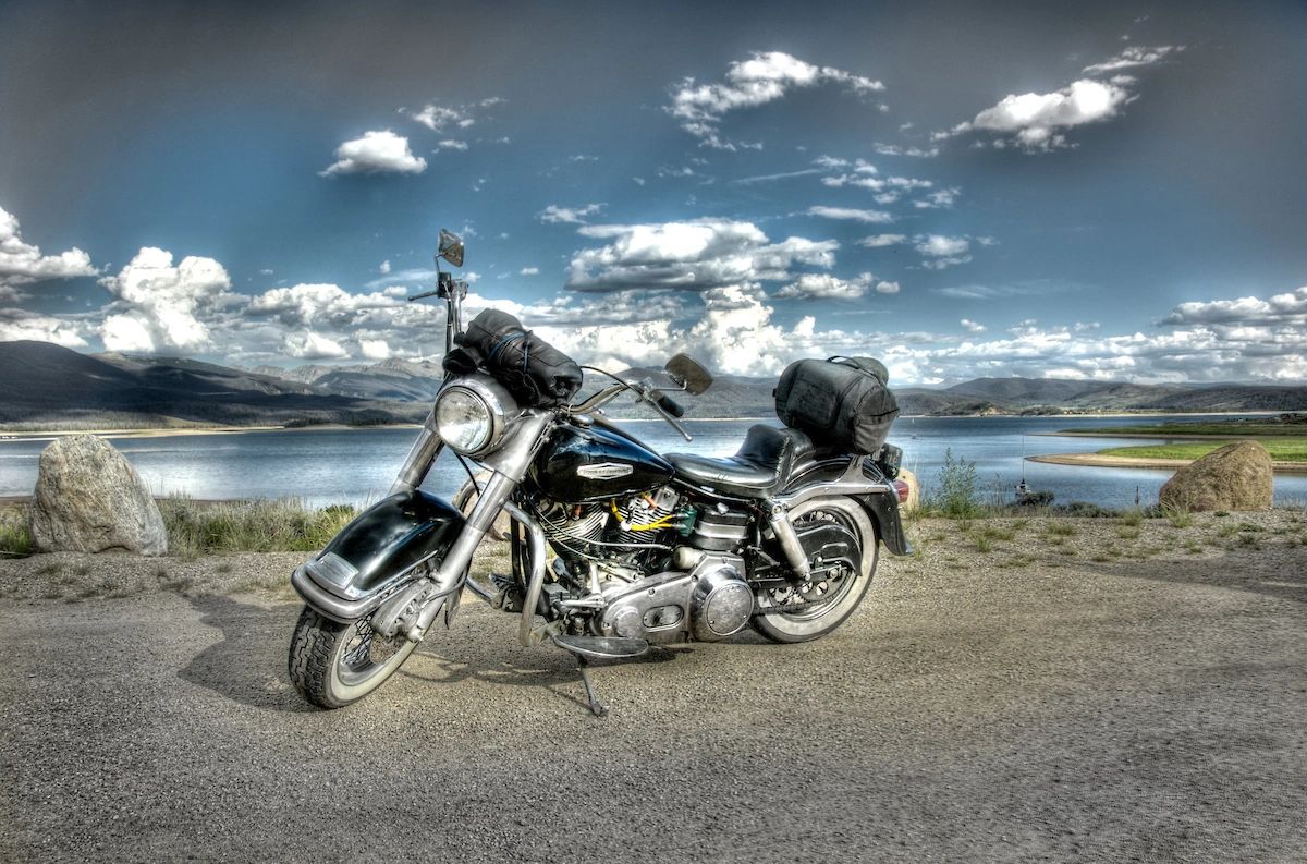 Steven Willis Photography