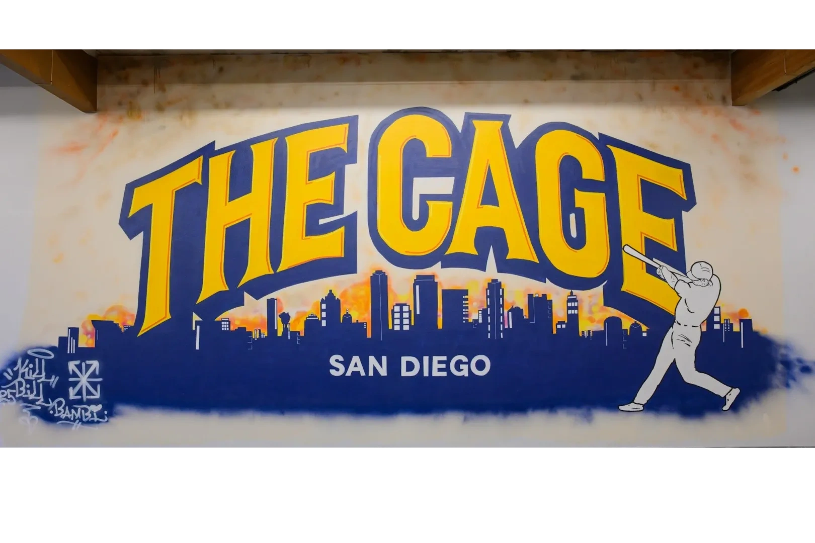 Sports Training at The Cage SD - Train Like You Play