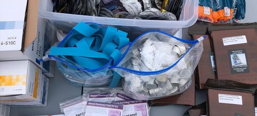 Home [harmreductionsisters.org]