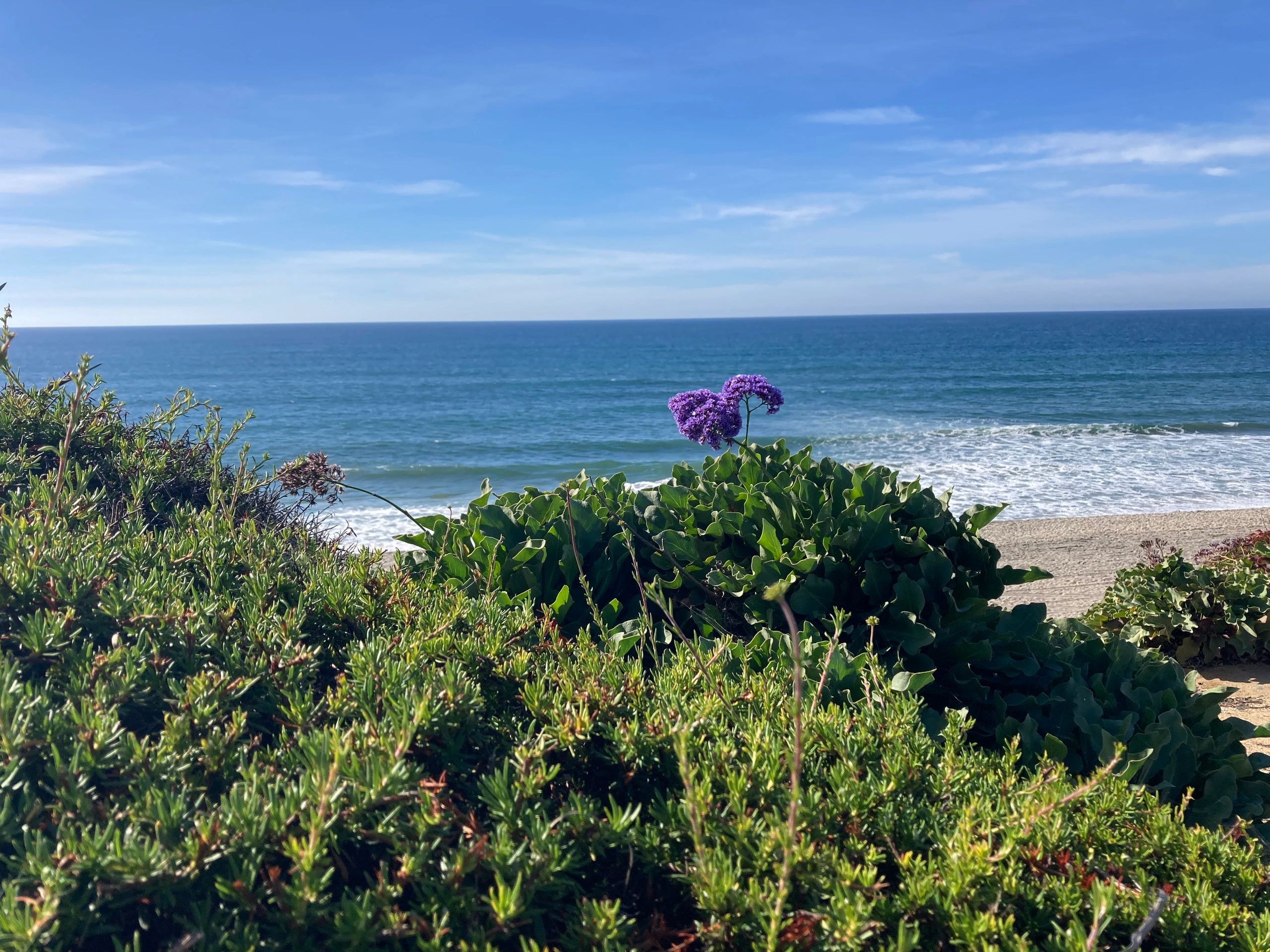 Experienced Screenwriter & Novelist | John Prather