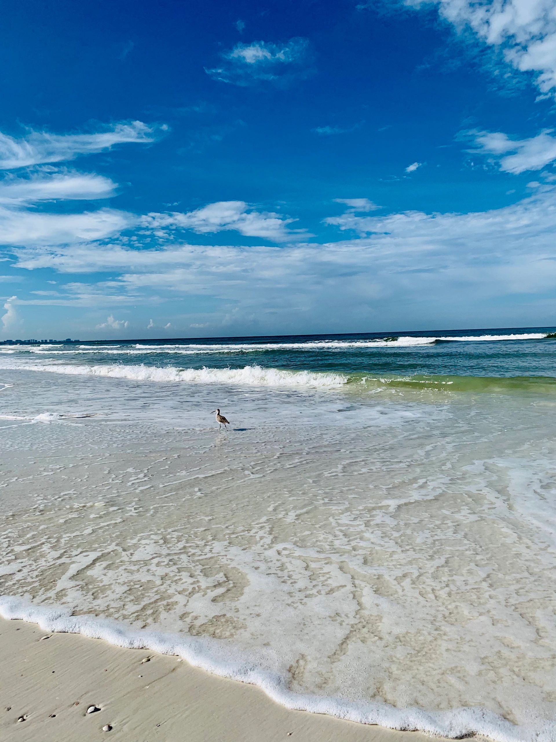 Florida Chalkboard CO