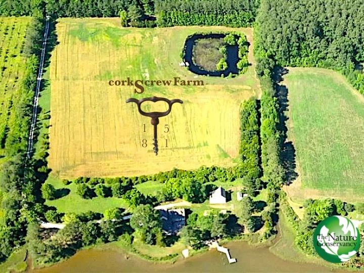 corkScrew Farm