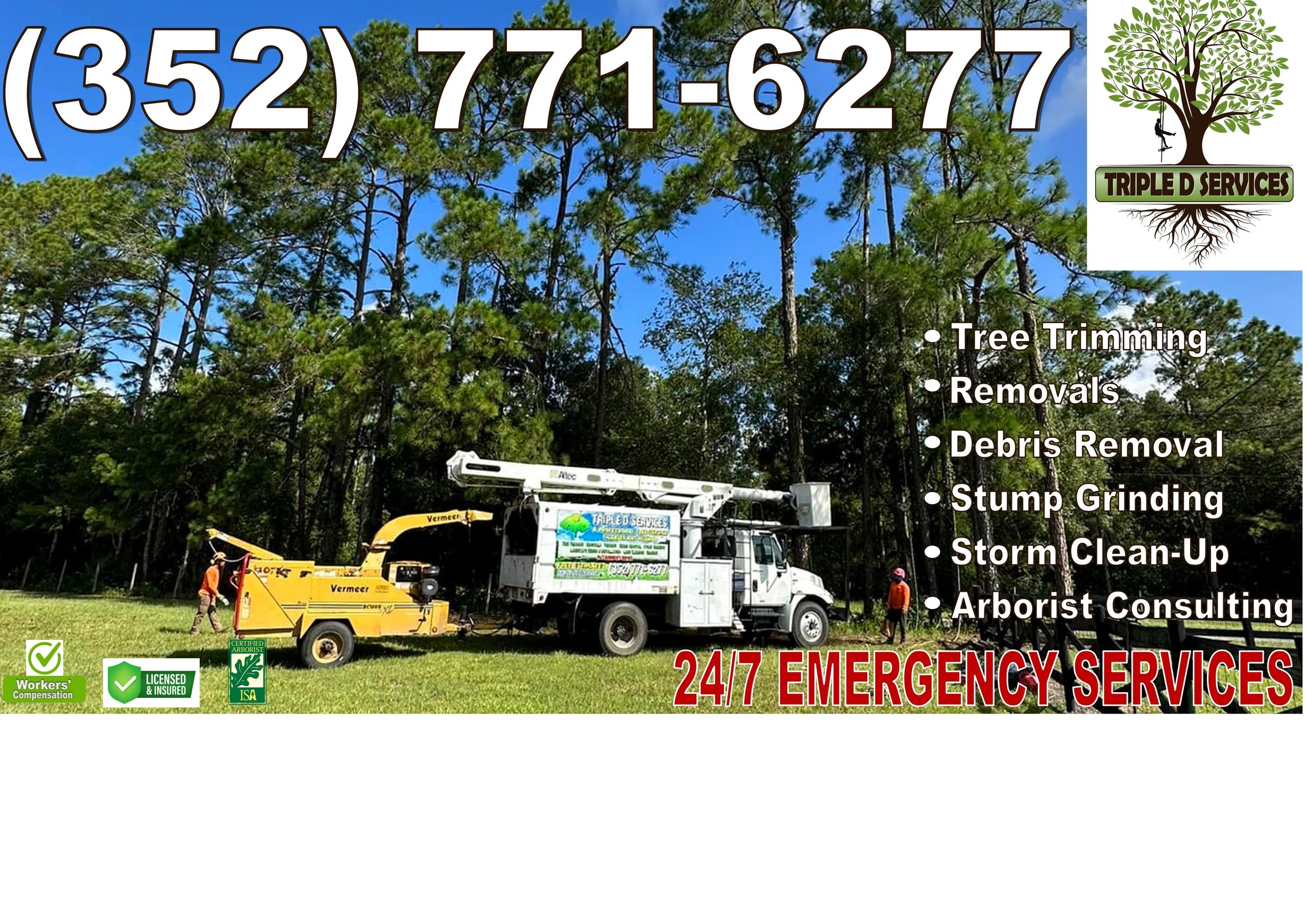 Triple D Tree Services