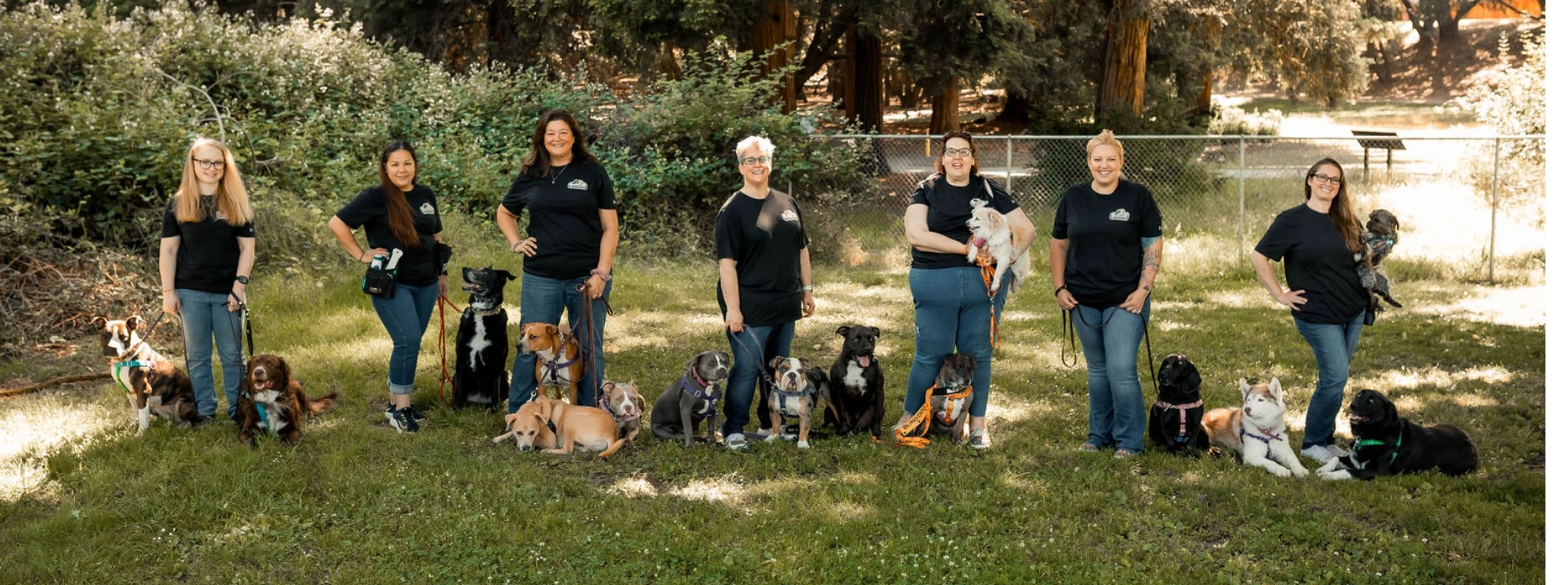 Bone-a-Fide Dog Training - Home