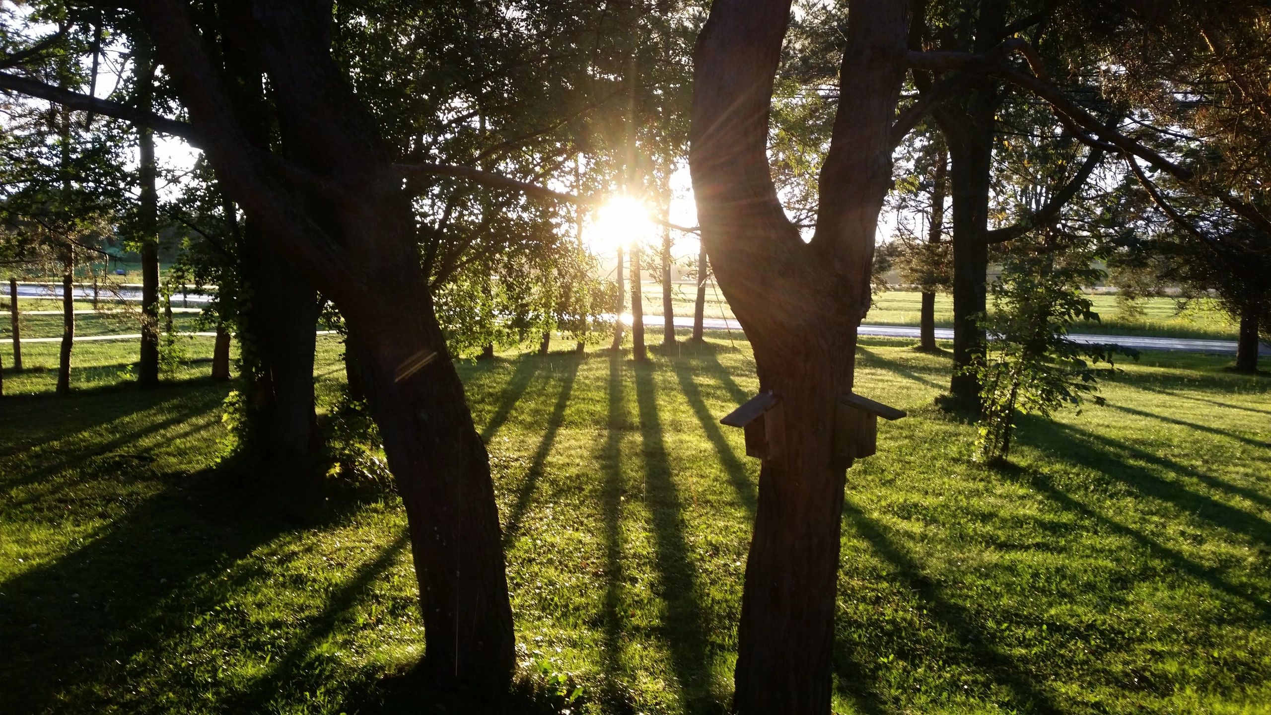 Home [courtney-danielle.com]