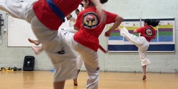 Learn Taekwondo at Our Beginner Class