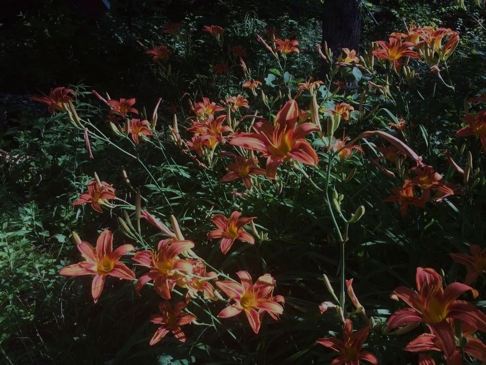 Fleur Winter Percussion