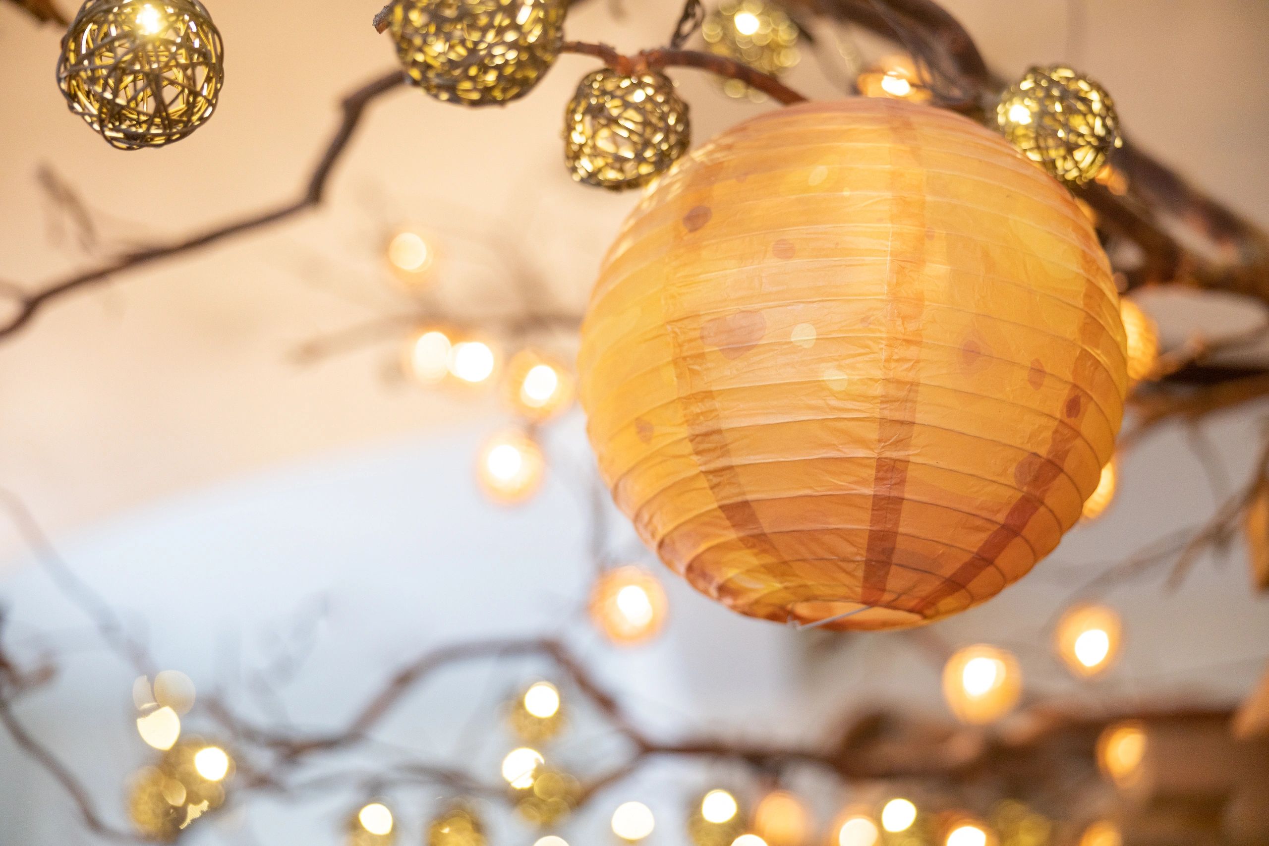 Lantern Tree Books
