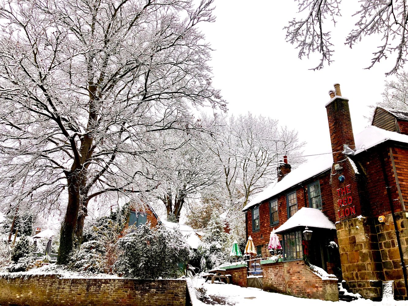 The Red Lion, Rusthall