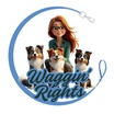 Waggin’ Rights Terms & Conditions | Sunshine Coast