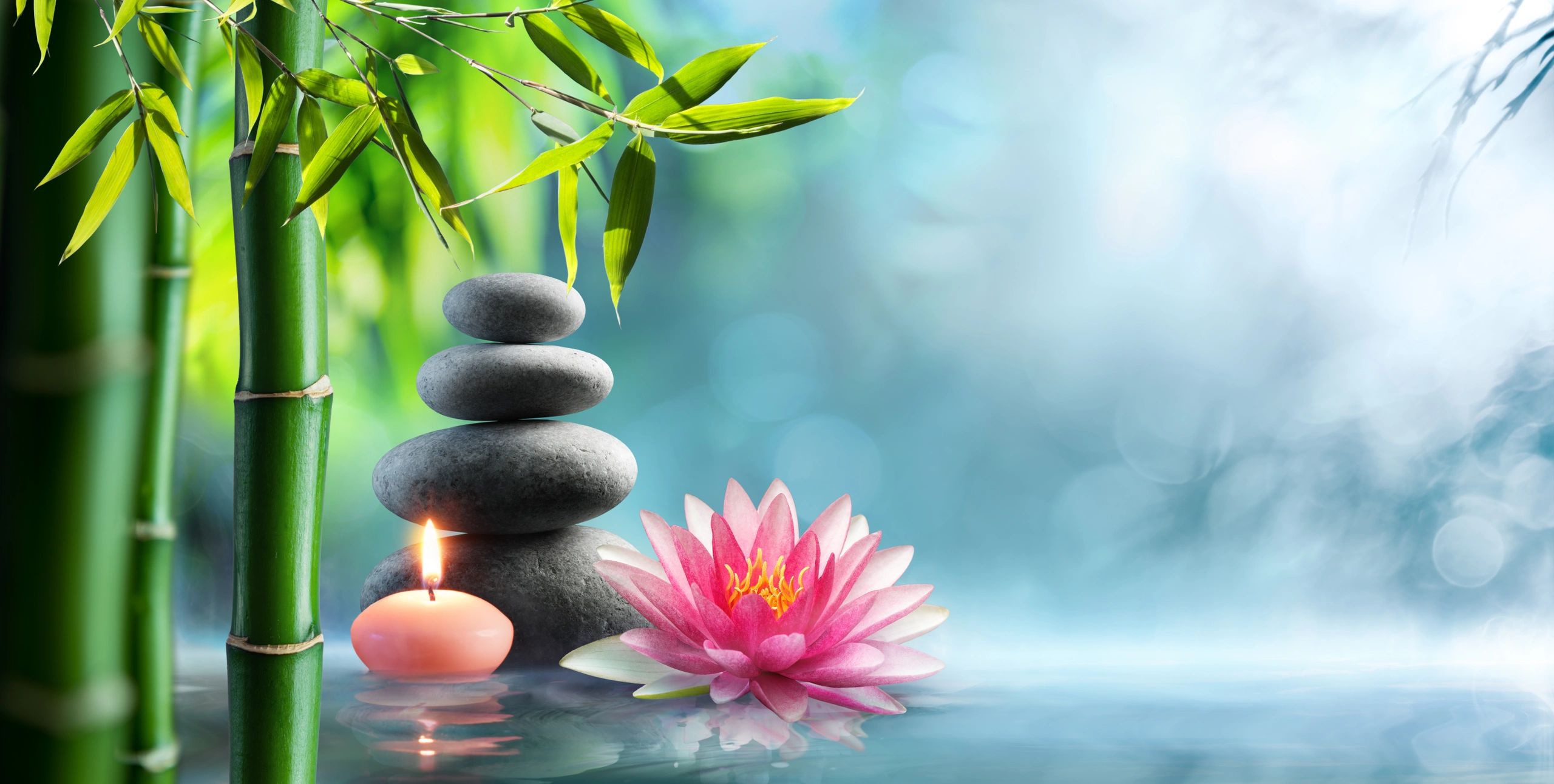 Relax and Rejuvenate with our Massage Therapy Services