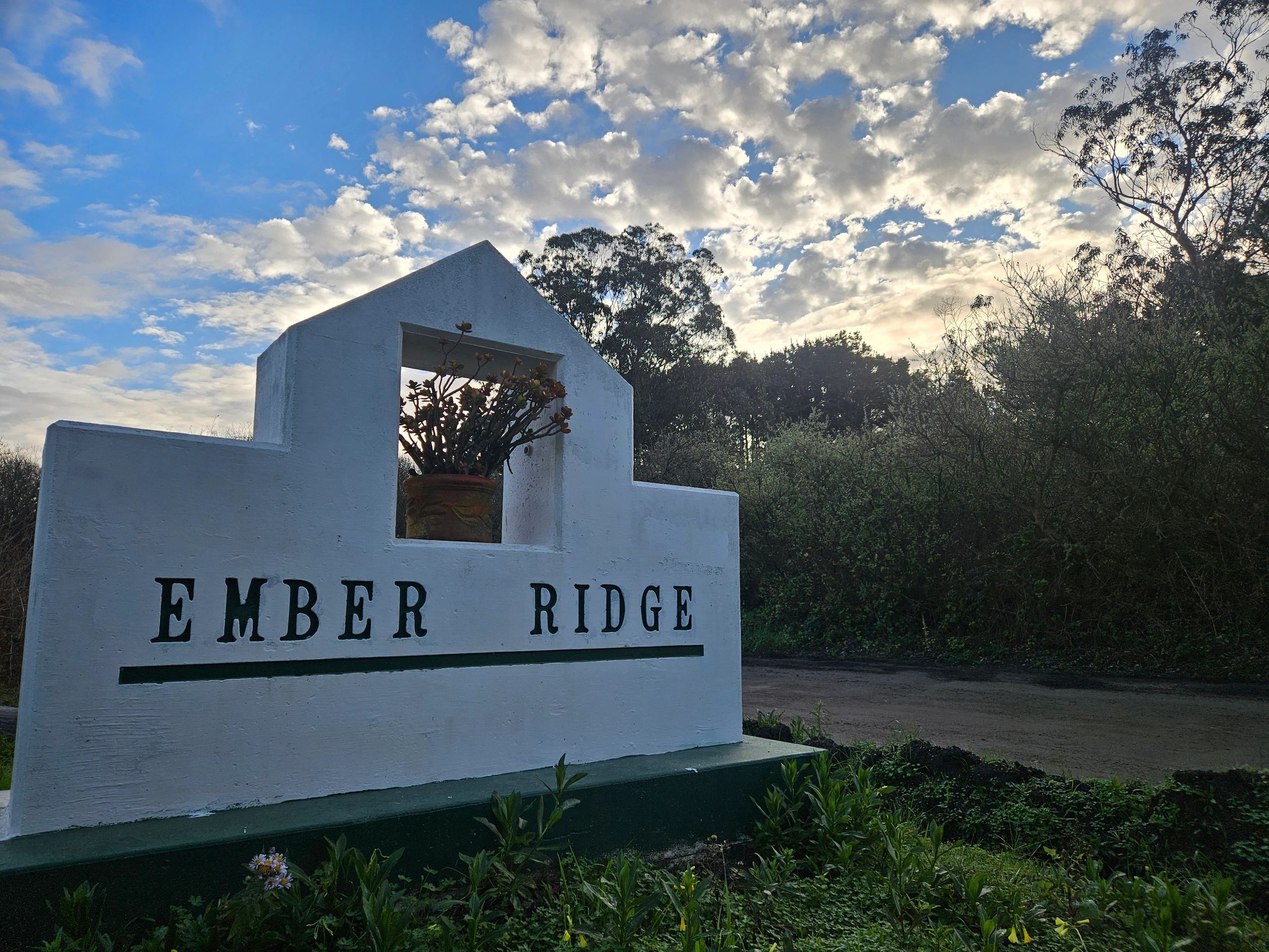 Horse Riding Trail Rides, Summer Camps for All Skill Levels | Moss ...