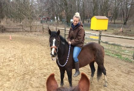 Mustangs - Legacy Riding Stables | Legacy Riding Stables