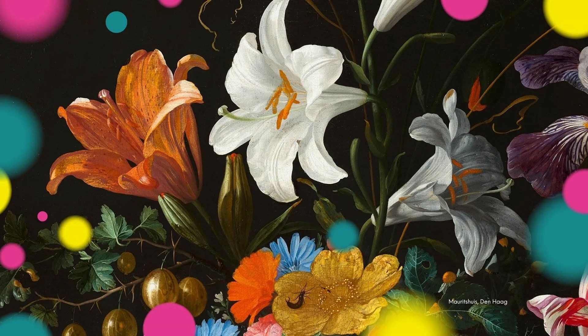 Dutch Masters Foundation