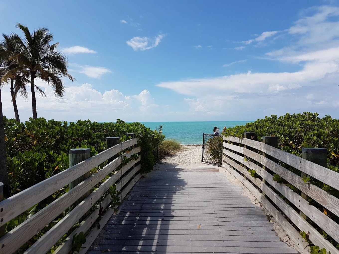 Exploring the Stunning Beaches of the Florida Keys