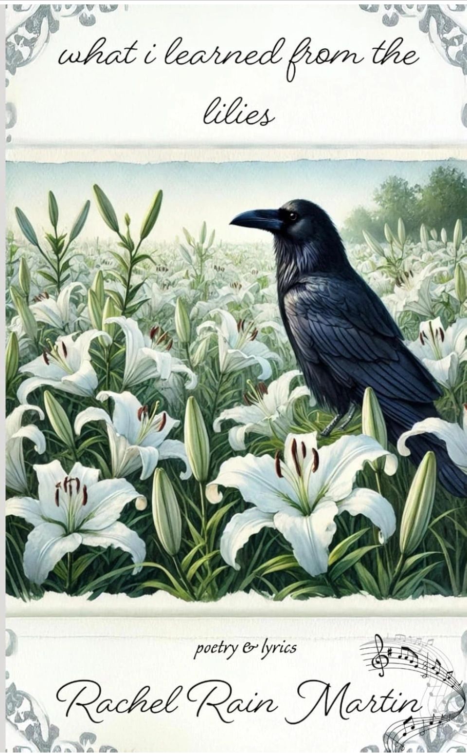 Rachel Rain Books - Explore the World of Historical Fiction