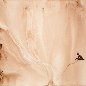 Artist Gallery | Western Wildlife Art Show