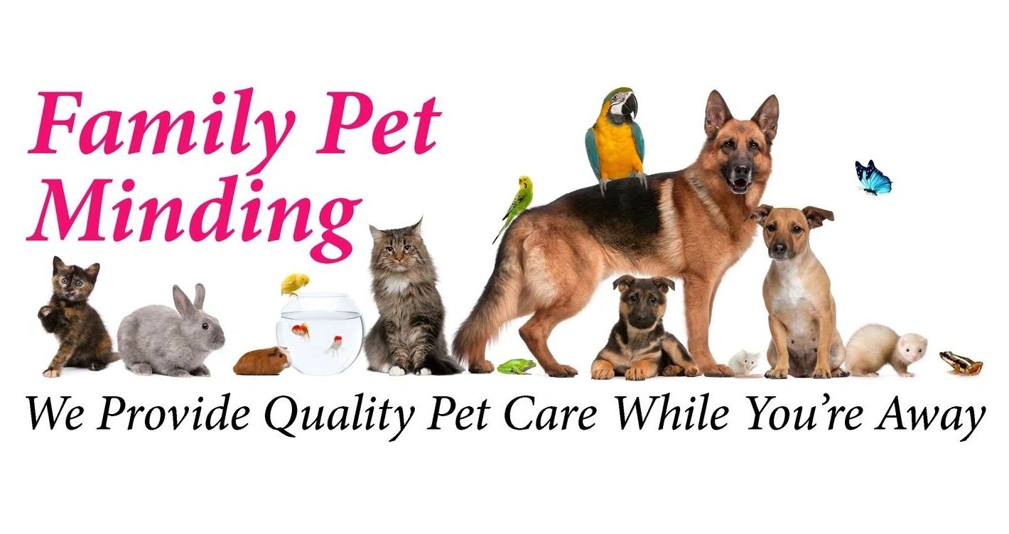 Family Pet Minding – Gallery