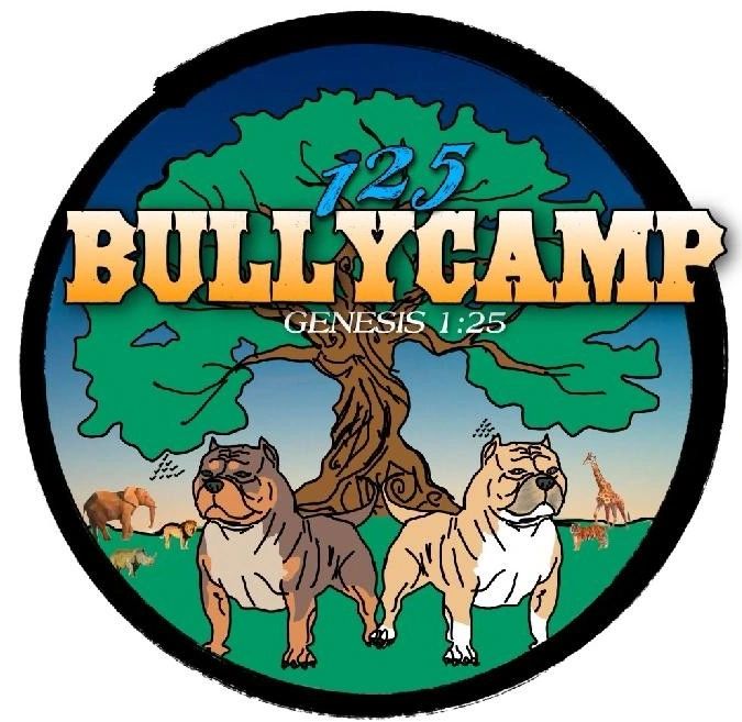 125 BullyCamp LLC
